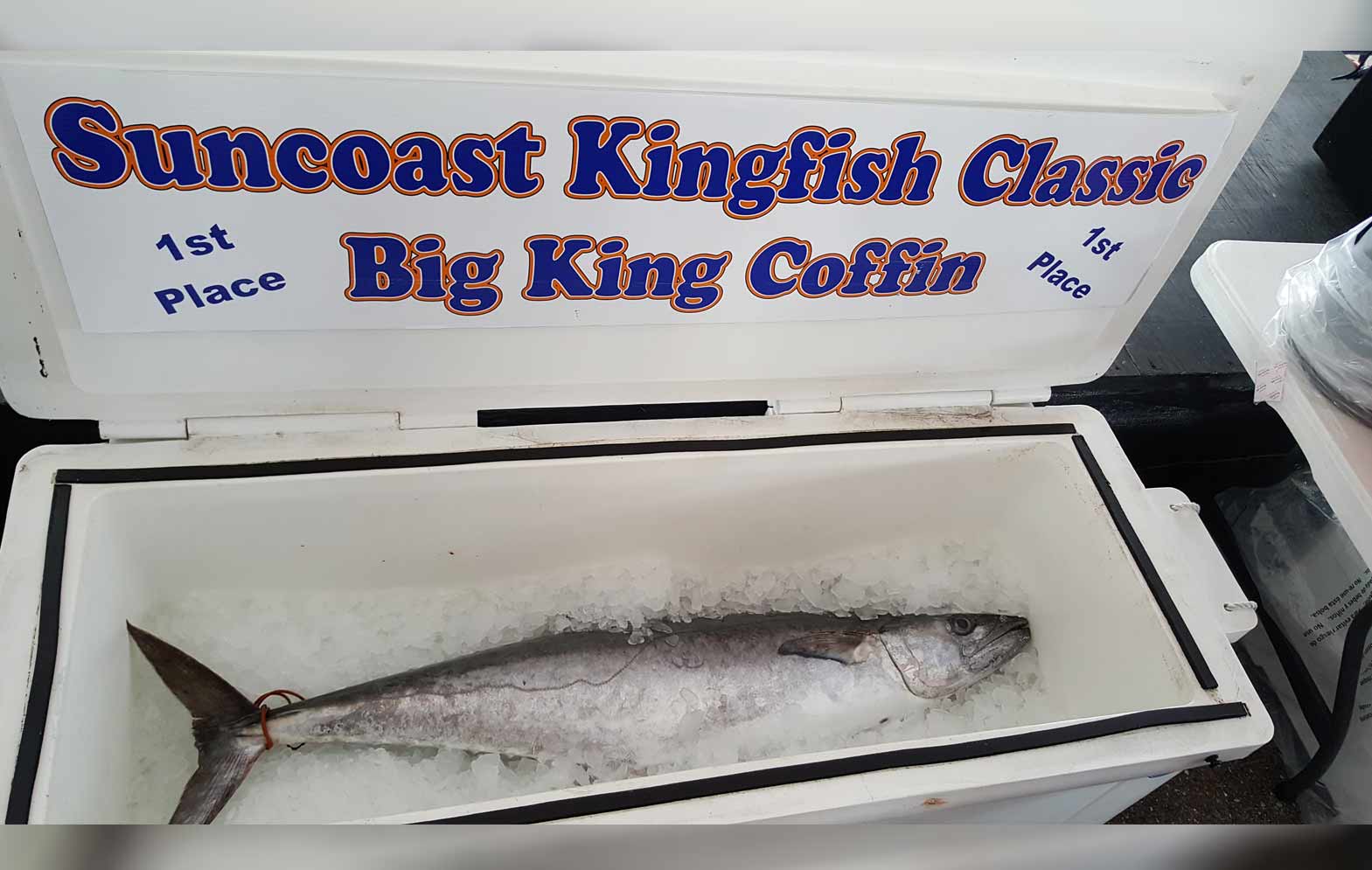 Jack Vasilaros Wins 26th Annual Spring Suncoast Kingfish Classic using ...